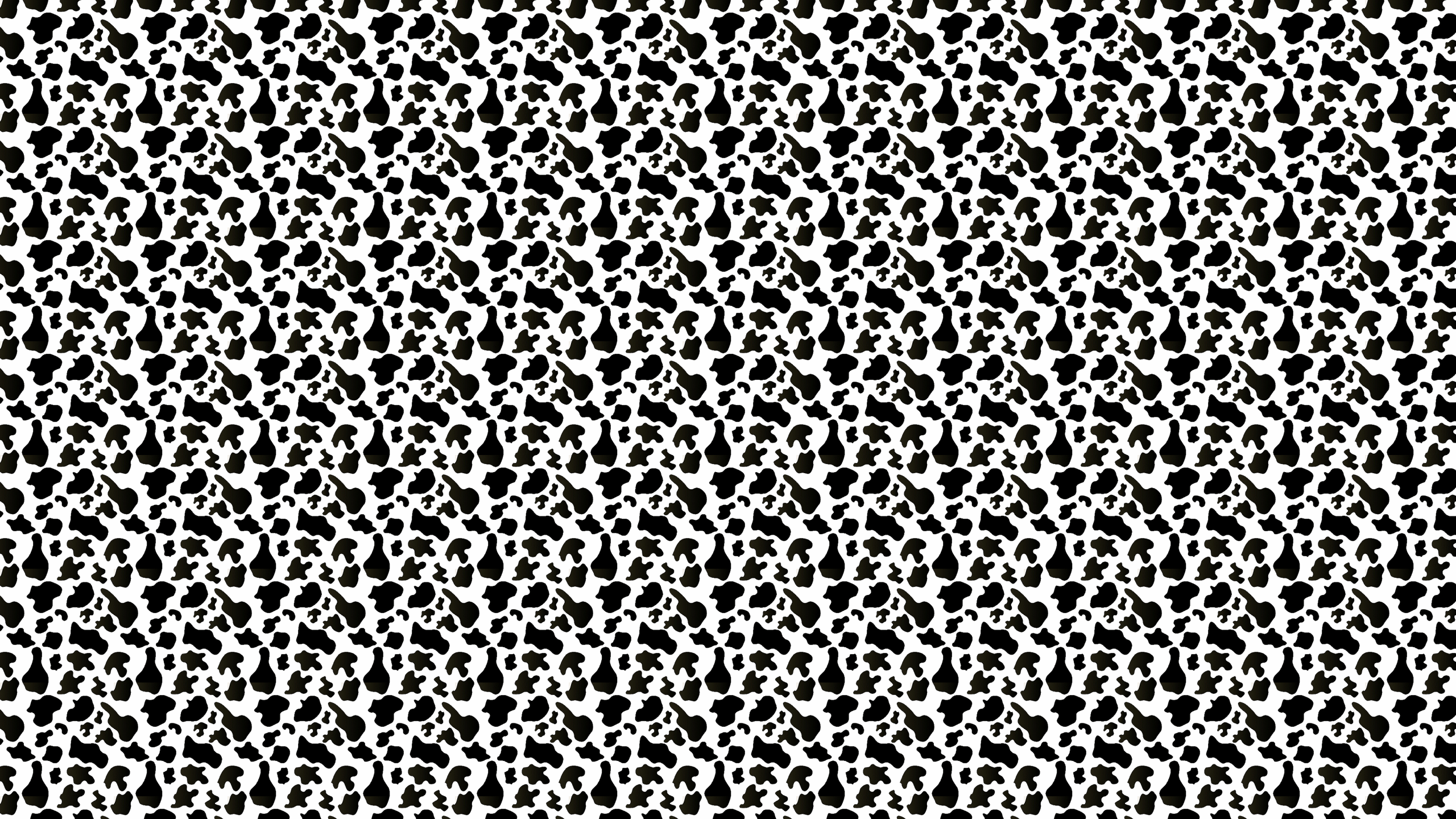 Moo Cow Wallpaper